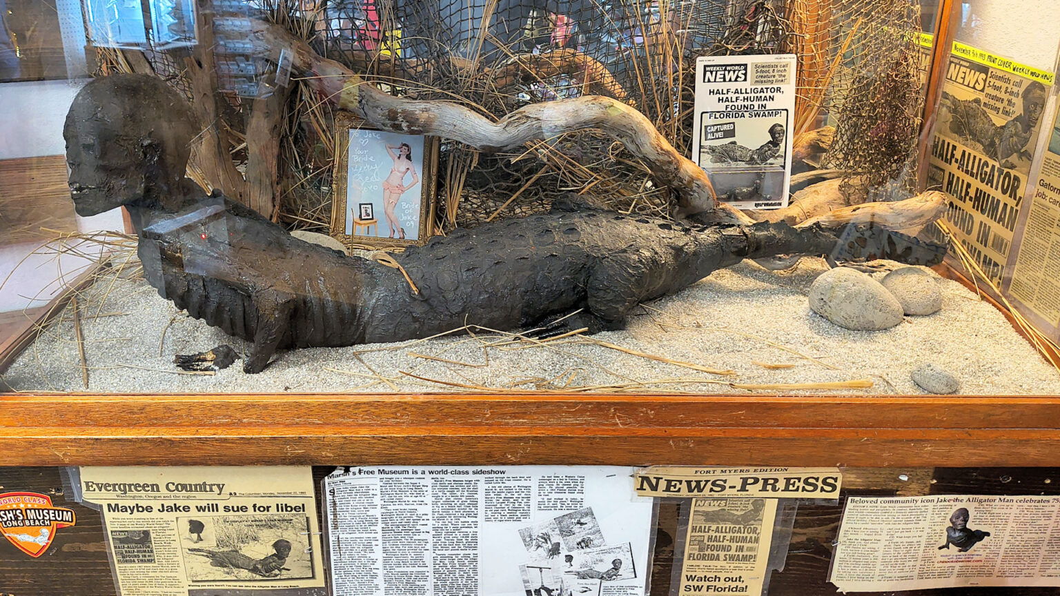 Alligator Man – Life of Brian